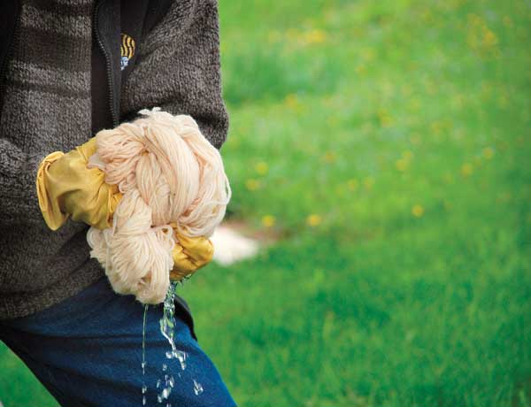Farming Wool and Fiber: From Sheep to Yarn - Grit
